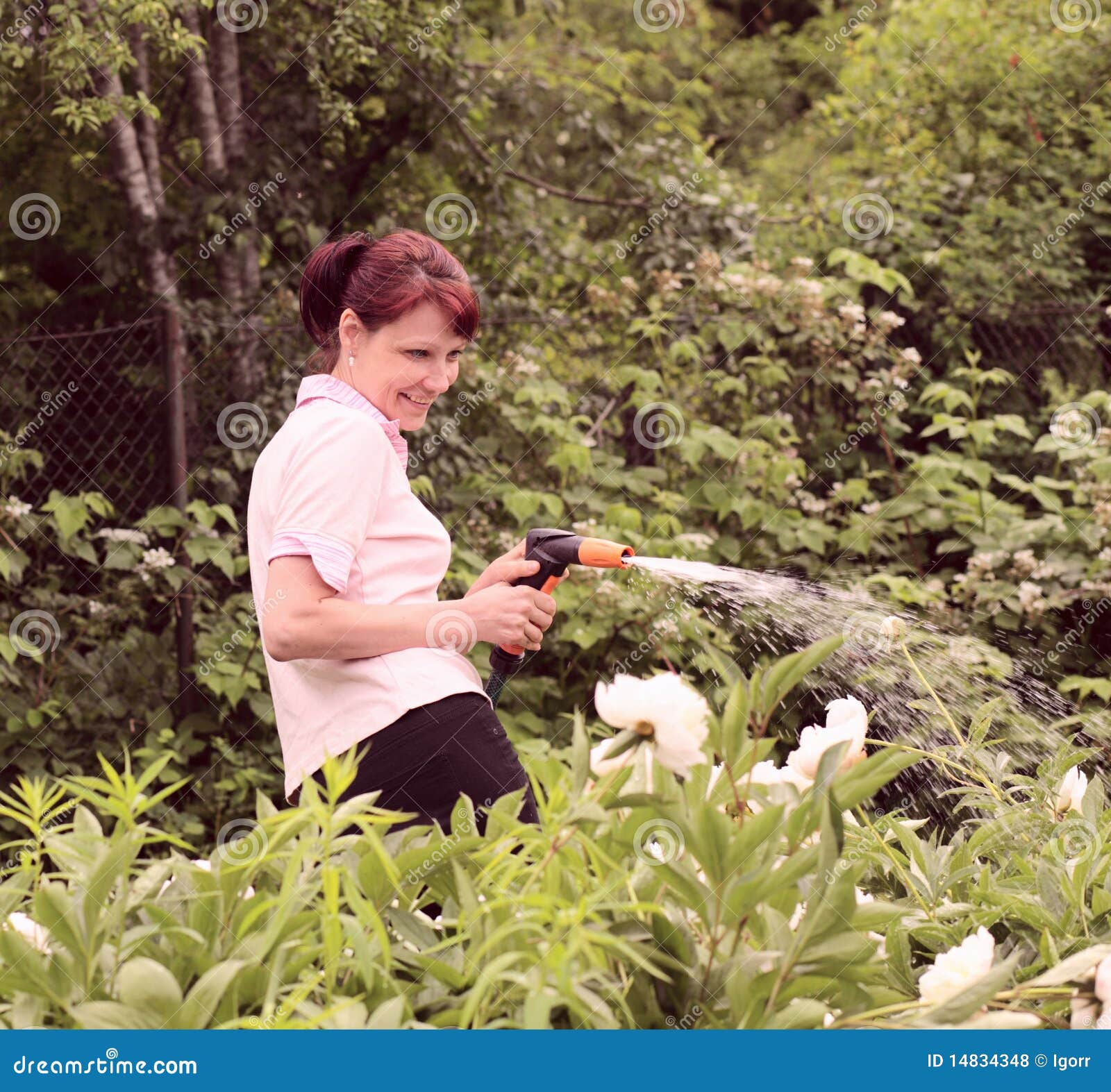 Watering stock photo. Image of green, adult, agricultural - 14834348