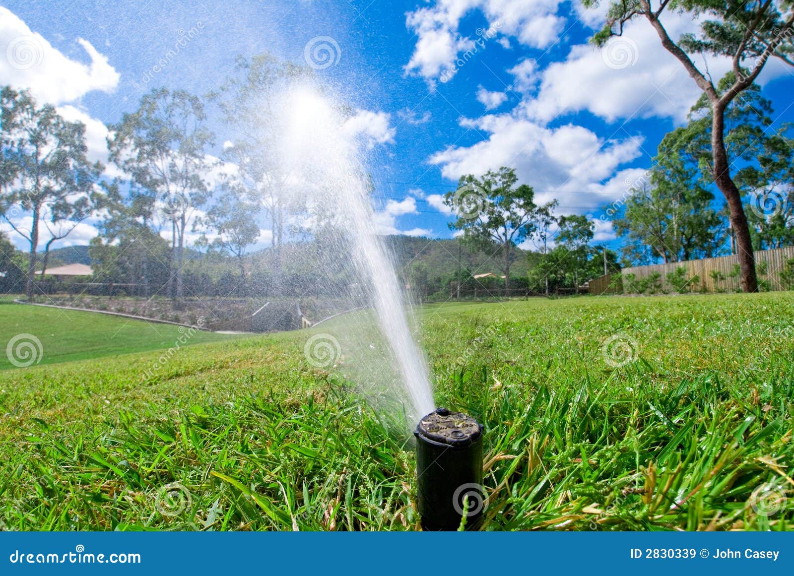 Watering stock image. Image of irrigation, pipes, grass - 2830339