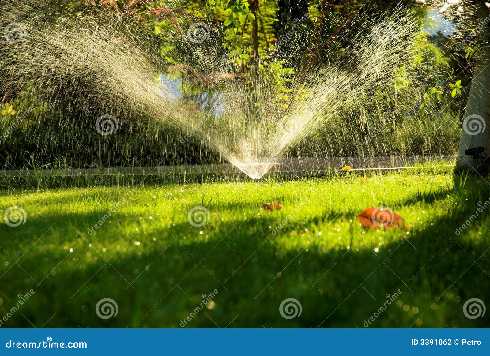 Watering stock photo. Image of diffuse, park, irrigation - 3391062