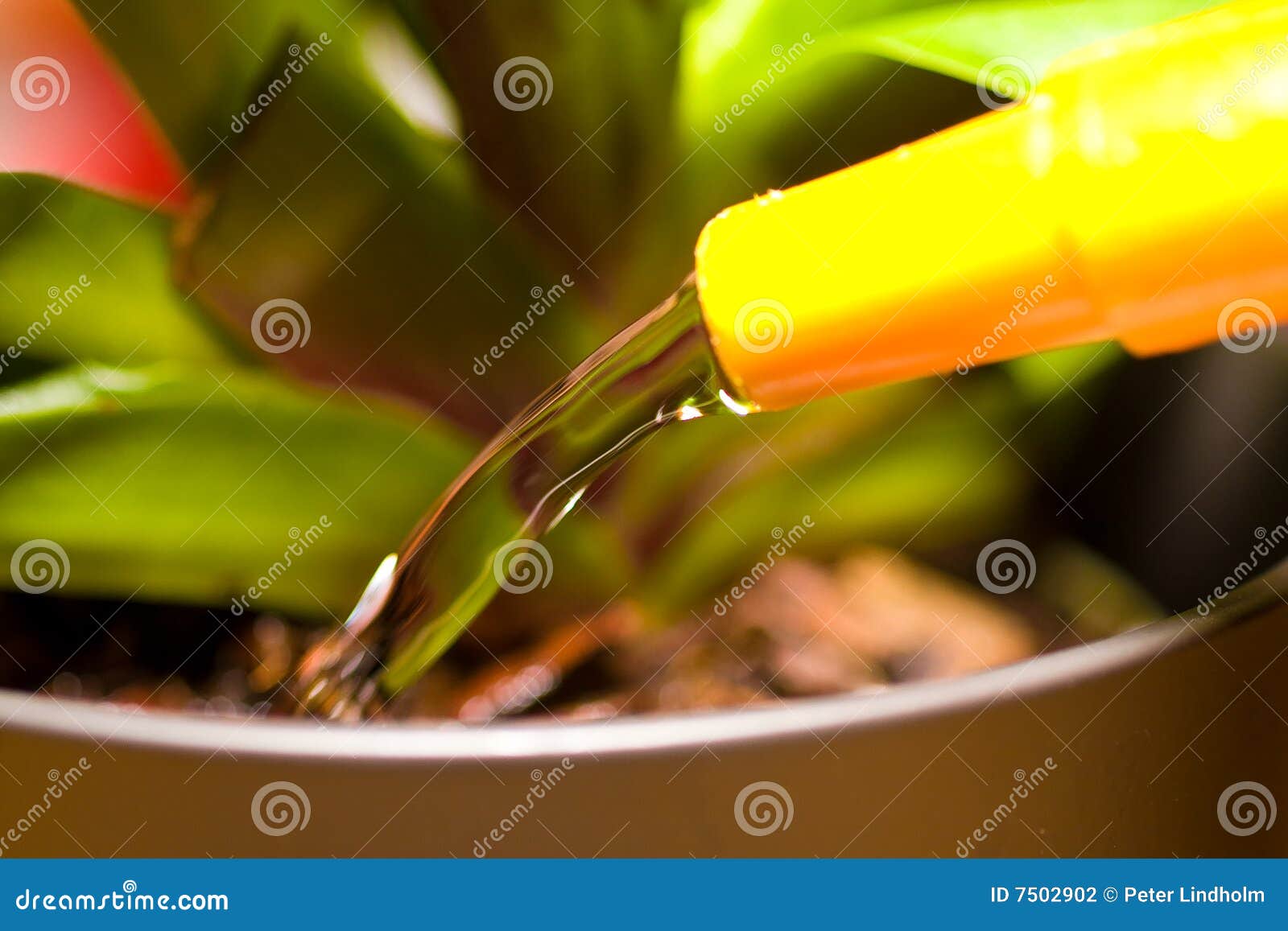 Watering stock photo. Image of fast, moving, pour, watering - 7502902