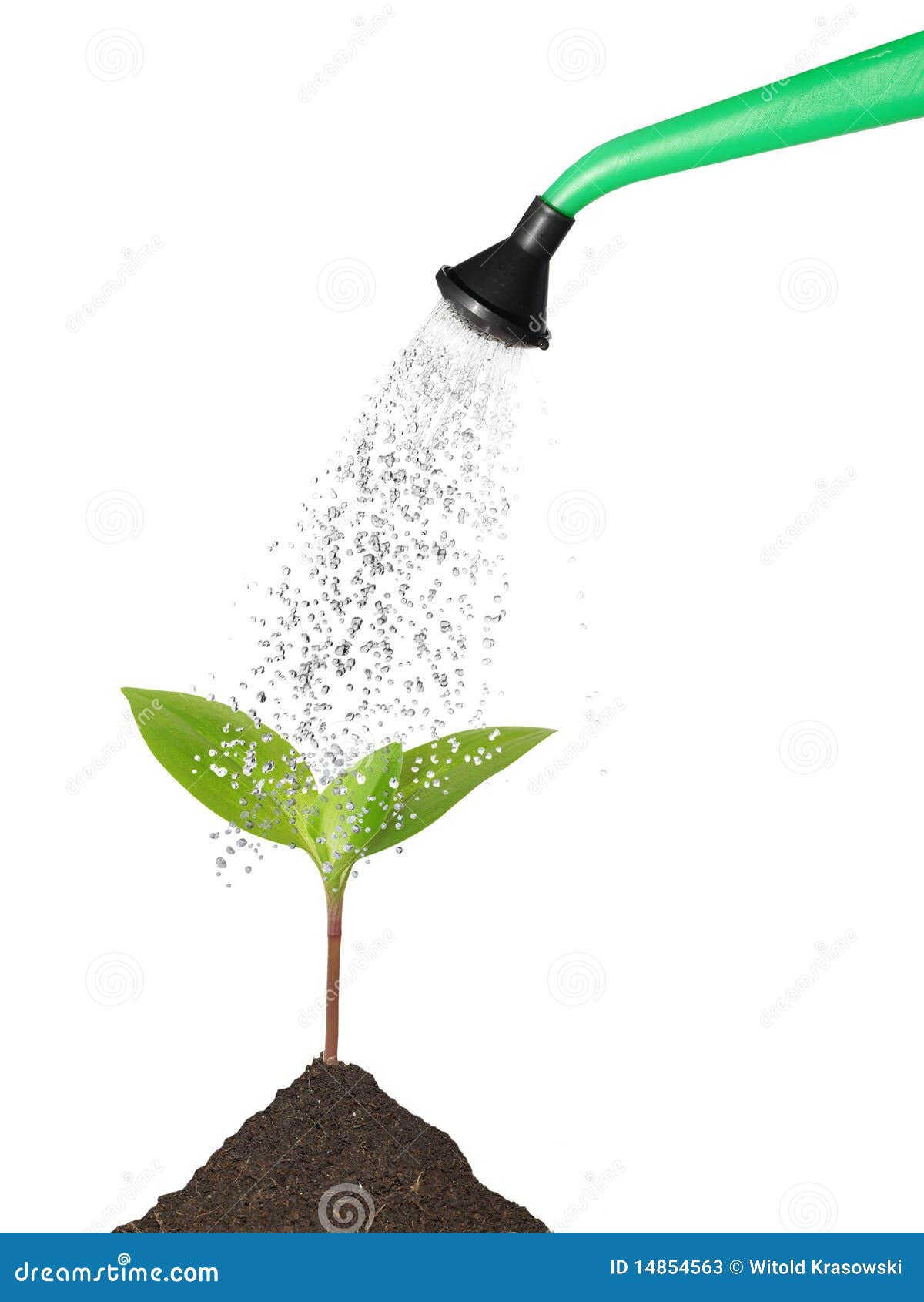 Watering can stock image. Image of movement, color, watering - 14854563