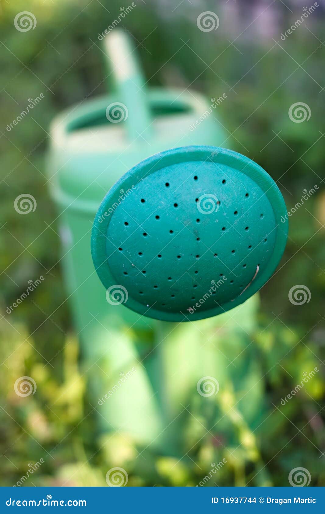 Watering Can stock photo. Image of break, blossoms, work - 16937744