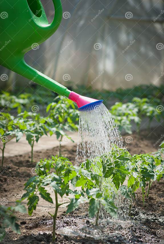 Watering-can stock image. Image of agriculture, gardening - 18490989