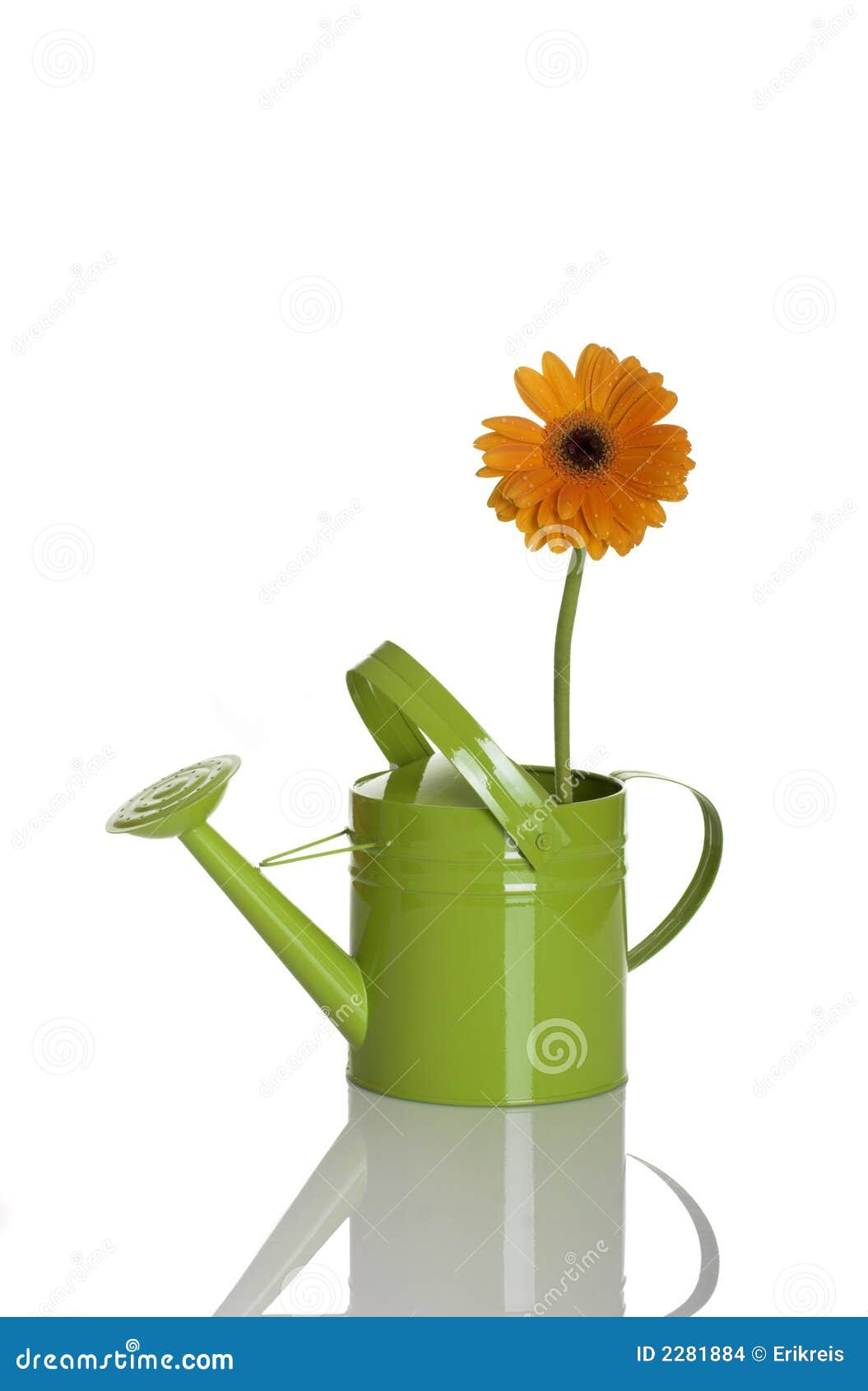 Watering can with a flower stock photo. Image of nature - 2281884