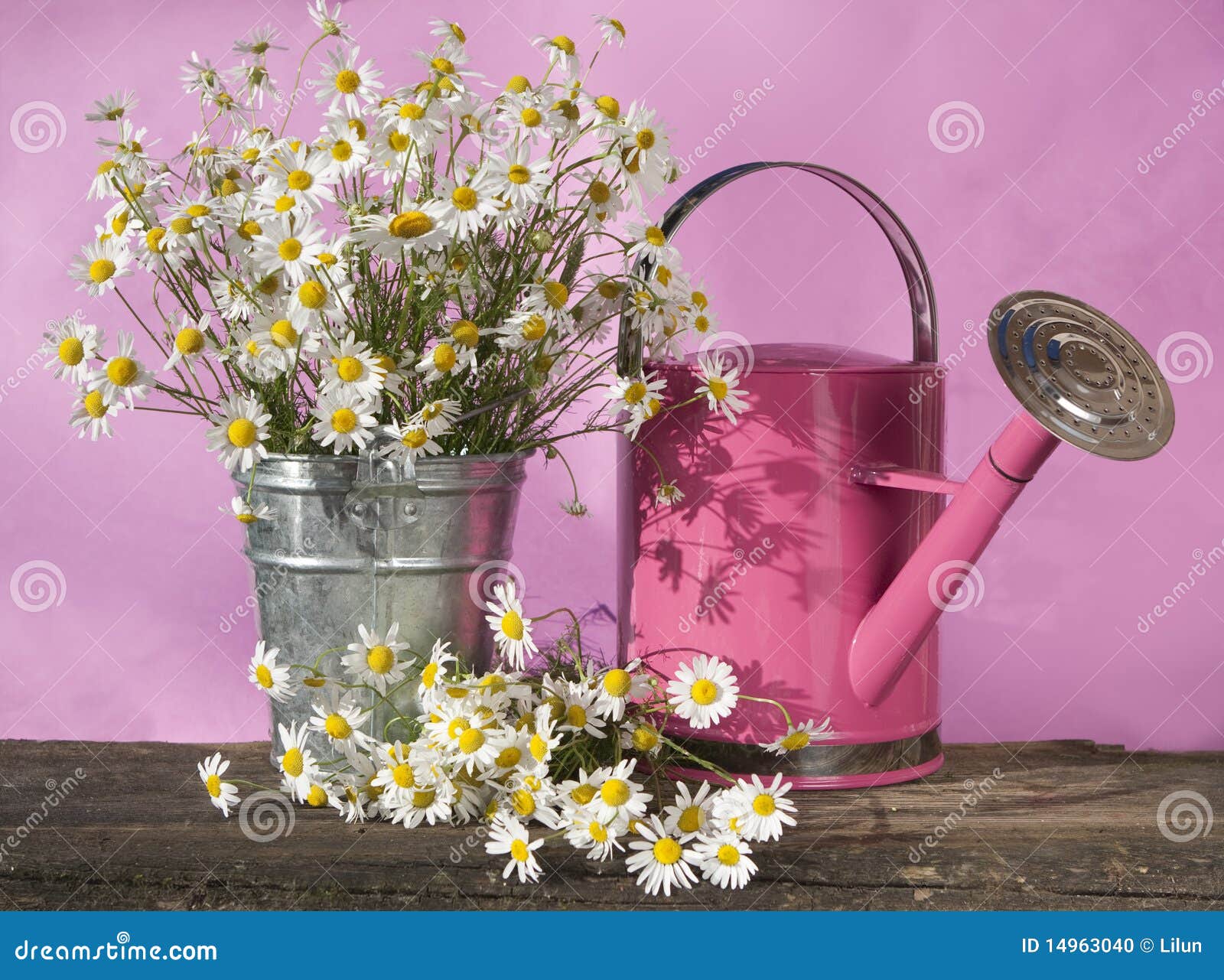 Watering can for flowers stock photo. Image of pink, gardening - 14963040