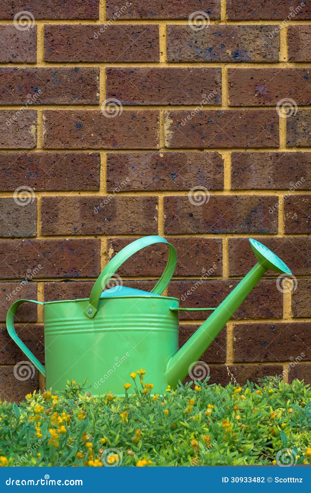 Watering Can stock photo. Image of tender, grow, green - 30933482