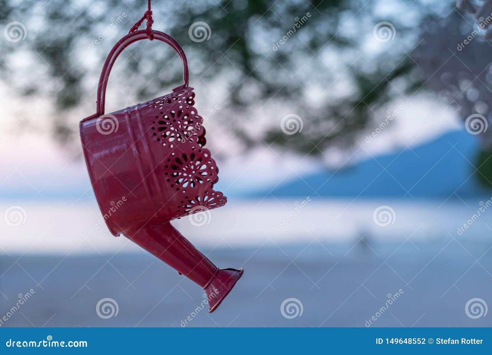 Watering Can Hanging on a Tree Branch Stock Photo - Image of hang ...
