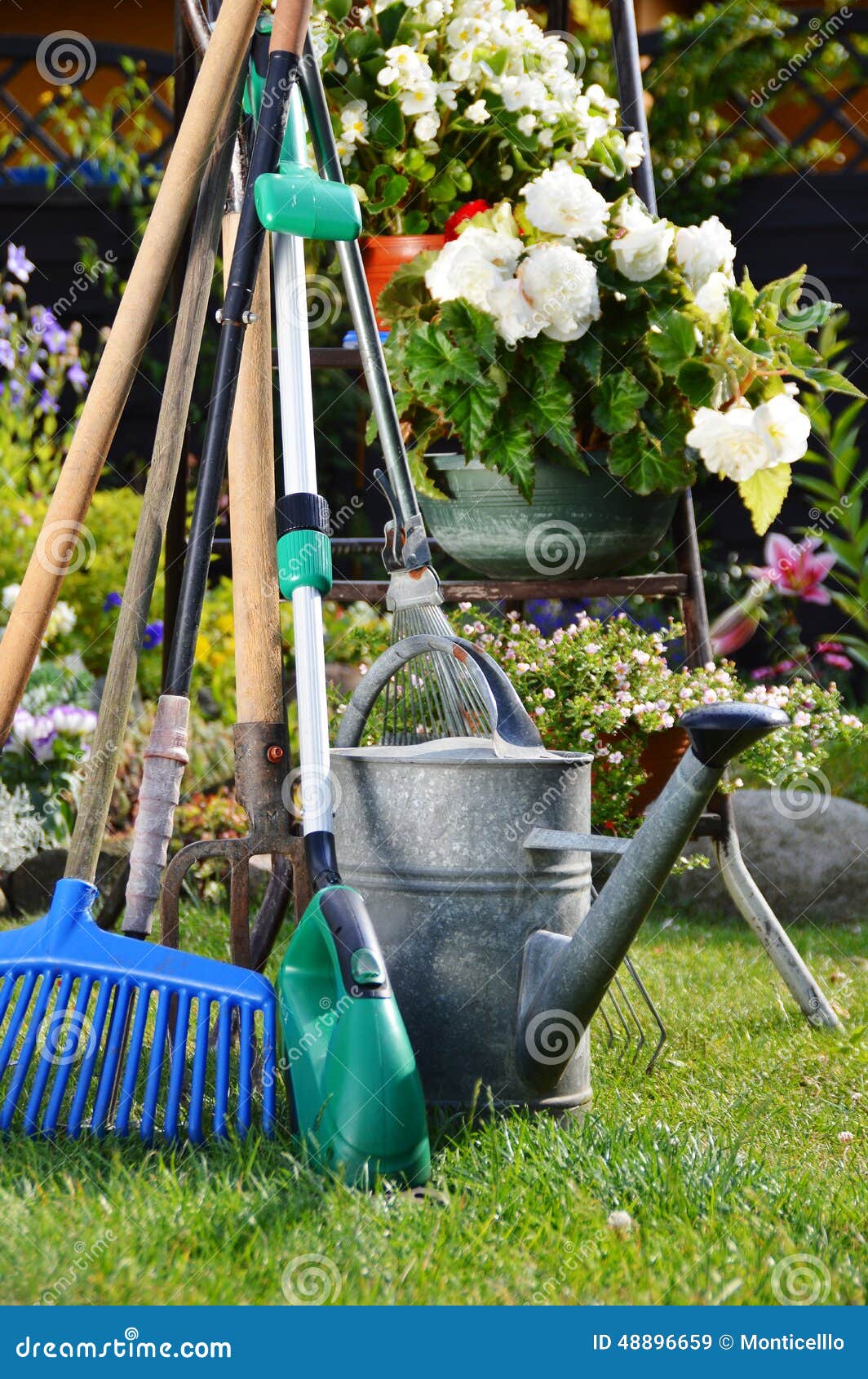 Watering Can and Tools in the Garden Stock Image - Image of nature ...