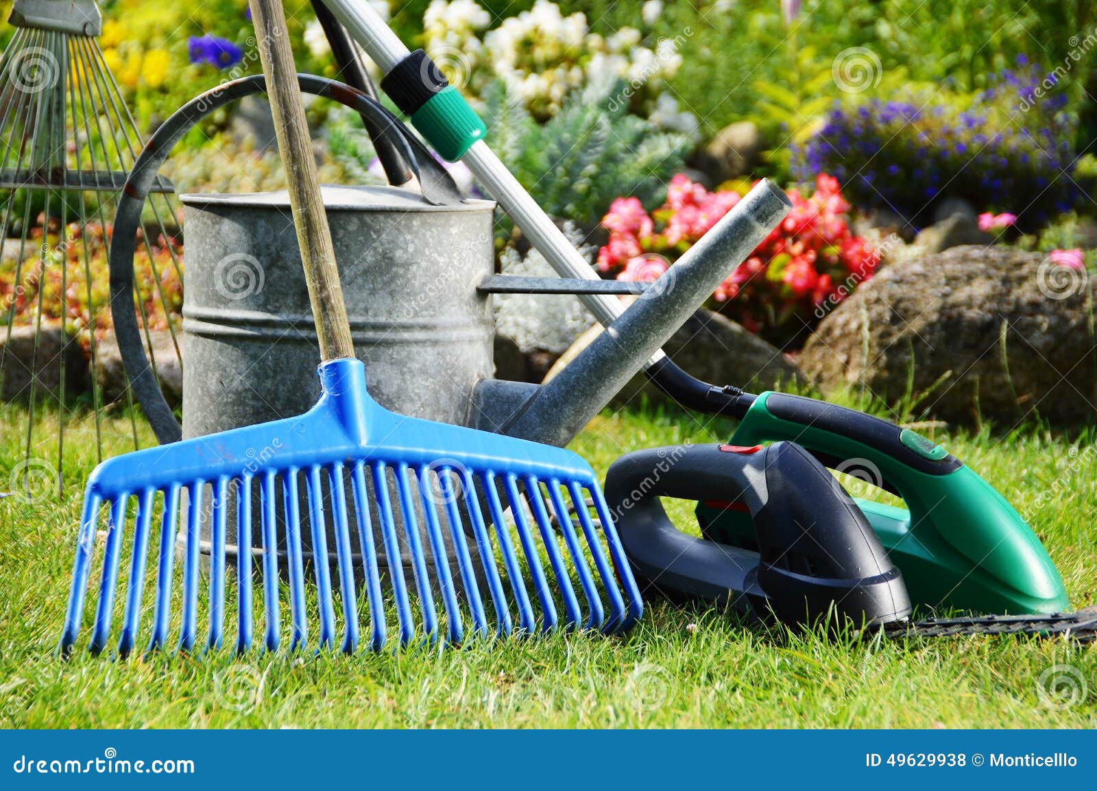 Watering Can and Tools in the Garden Stock Photo - Image of watering ...
