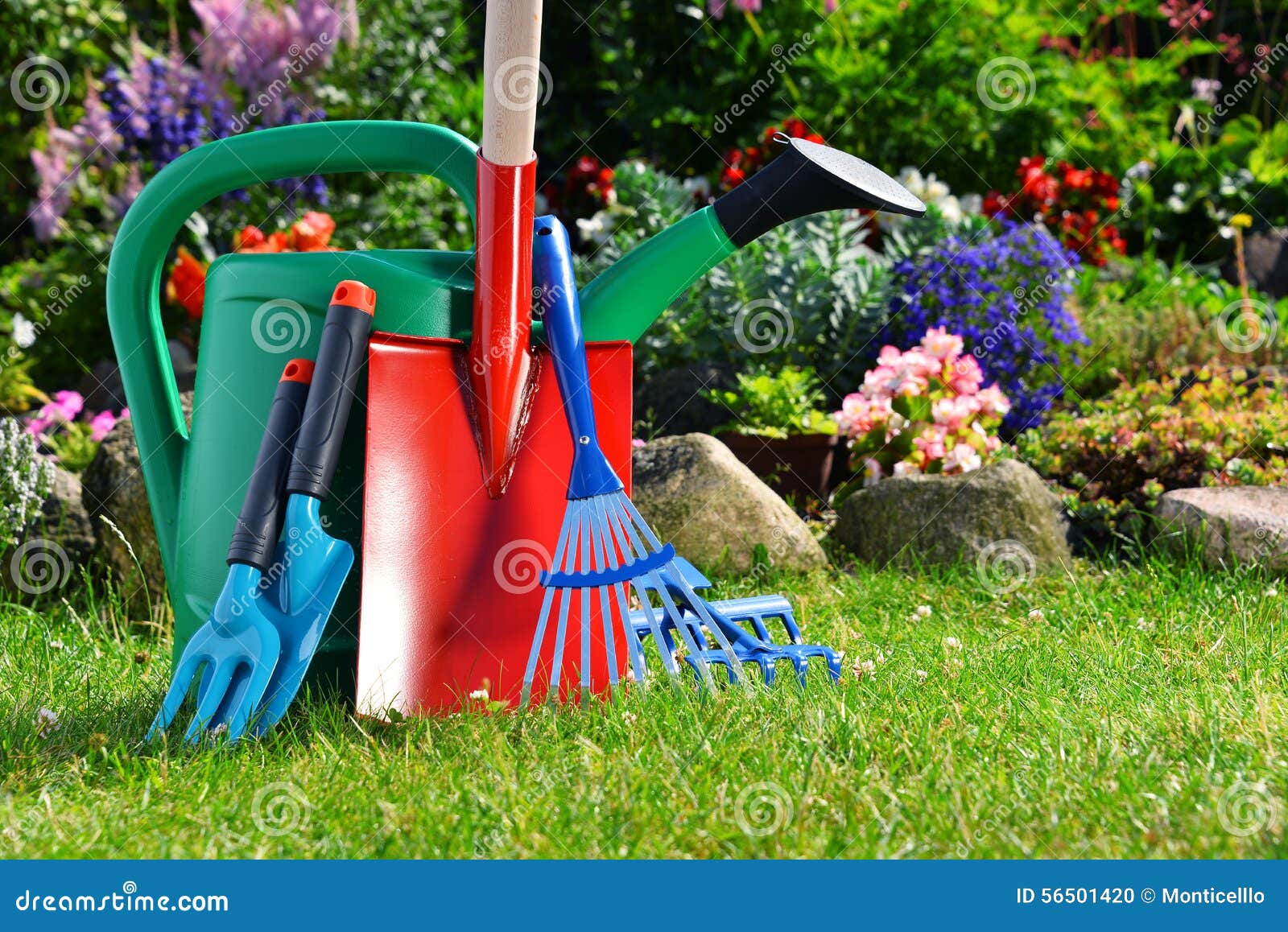 Watering Can and Tools in the Garden Stock Photo - Image of grass ...