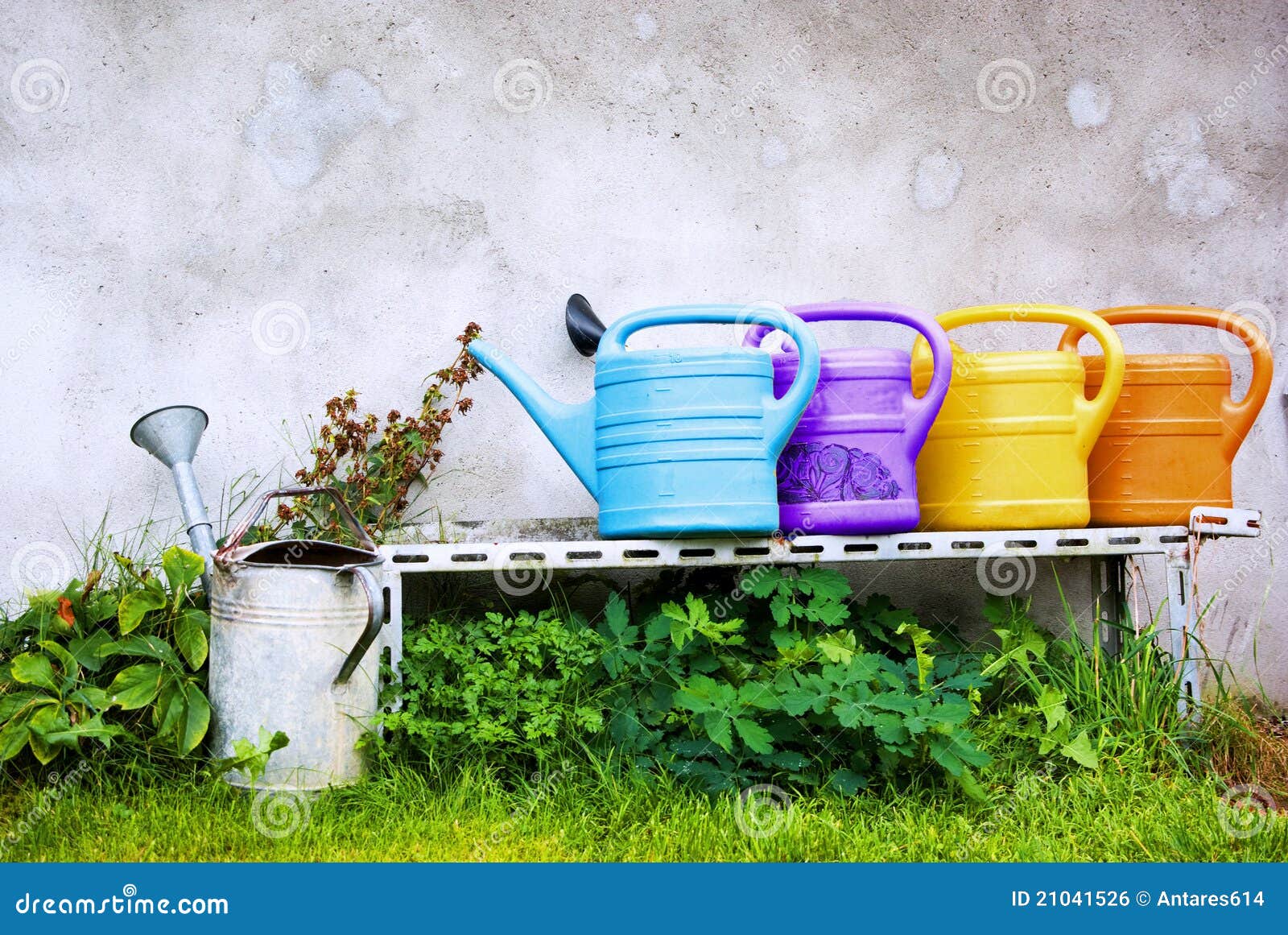 Watering Cans Stock Photo | CartoonDealer.com #21041526