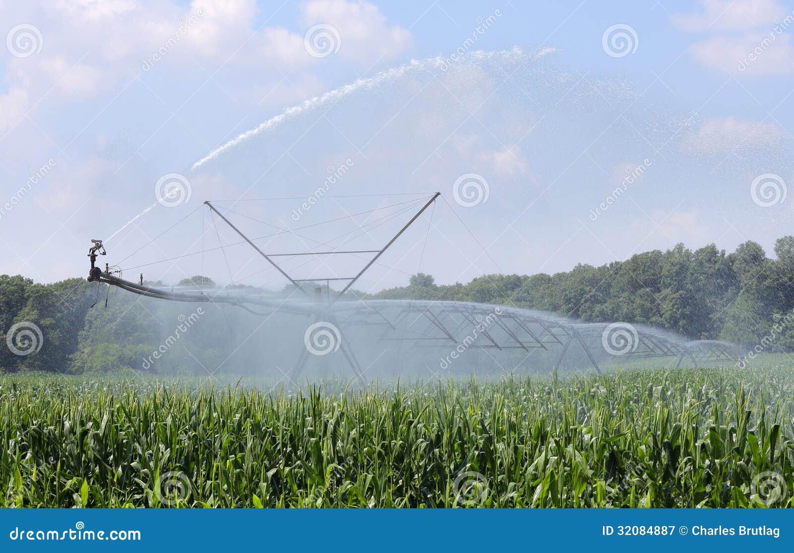 Watering Corn stock image. Image of farmland, irrigation - 32084887