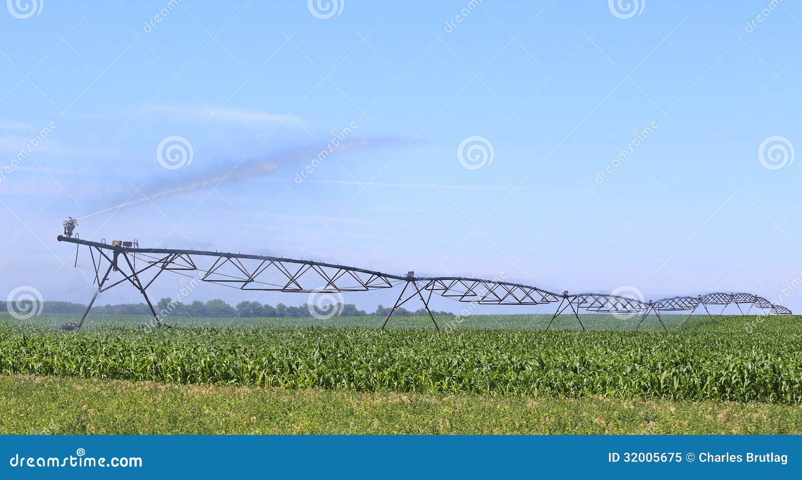 Watering a Corn Field stock image. Image of corn, spraying - 32005675