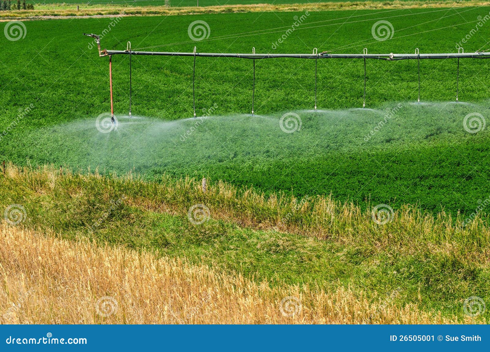 Watering a Crop stock image. Image of farming, system - 26505001