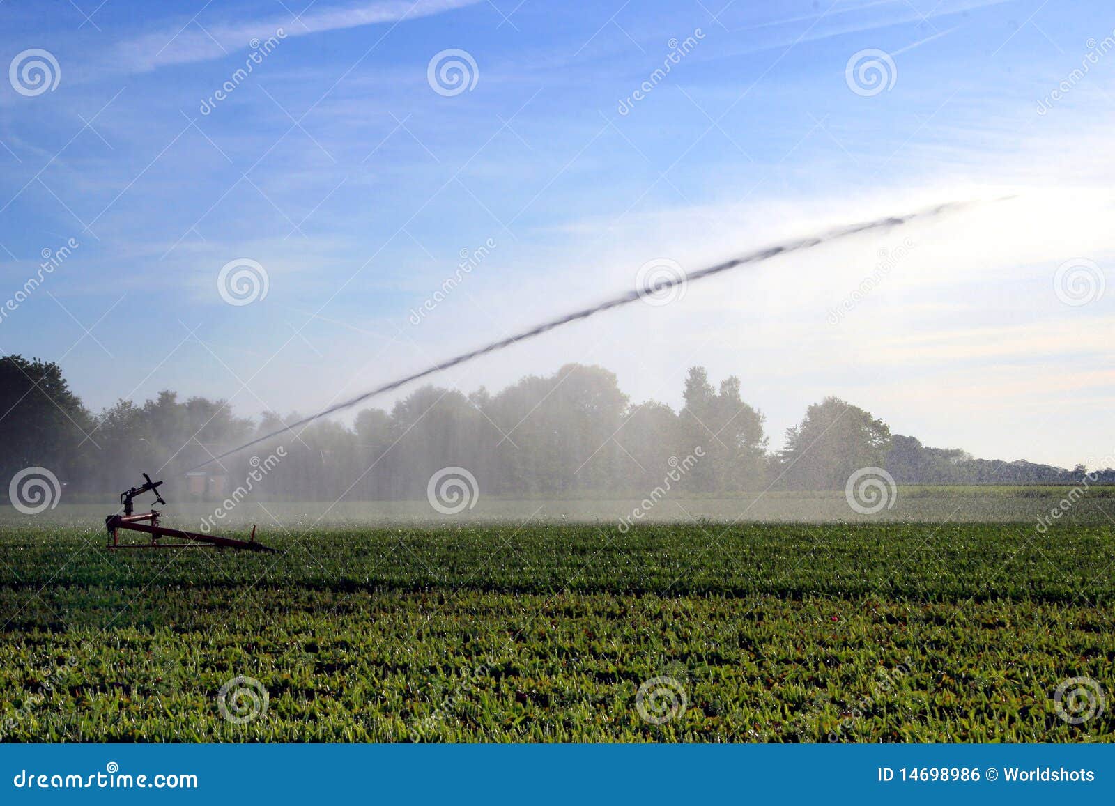 Watering crops stock photo. Image of spray, climate, fresh - 14698986