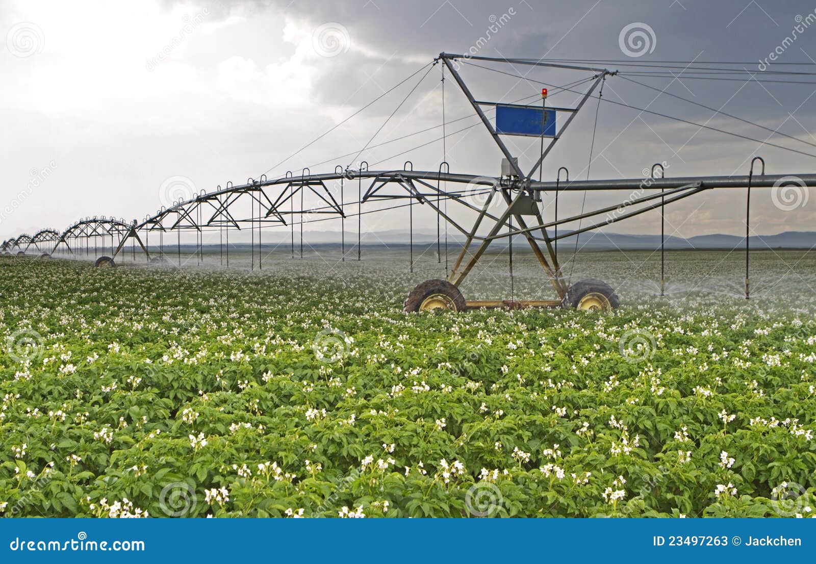 Watering the crops stock image. Image of watering, food - 23497263