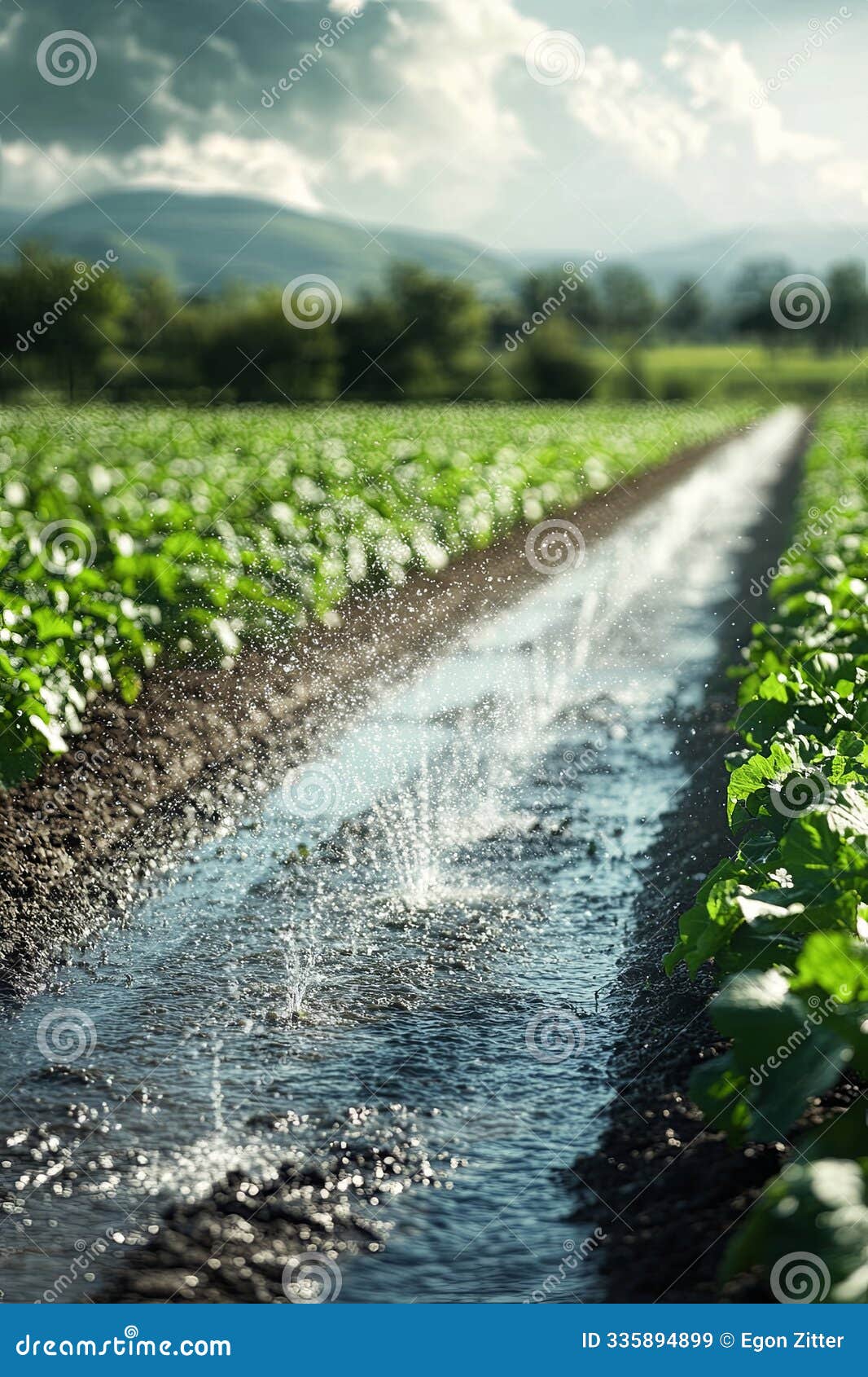 Watering Crops at the Field Illustration Stock Illustration ...