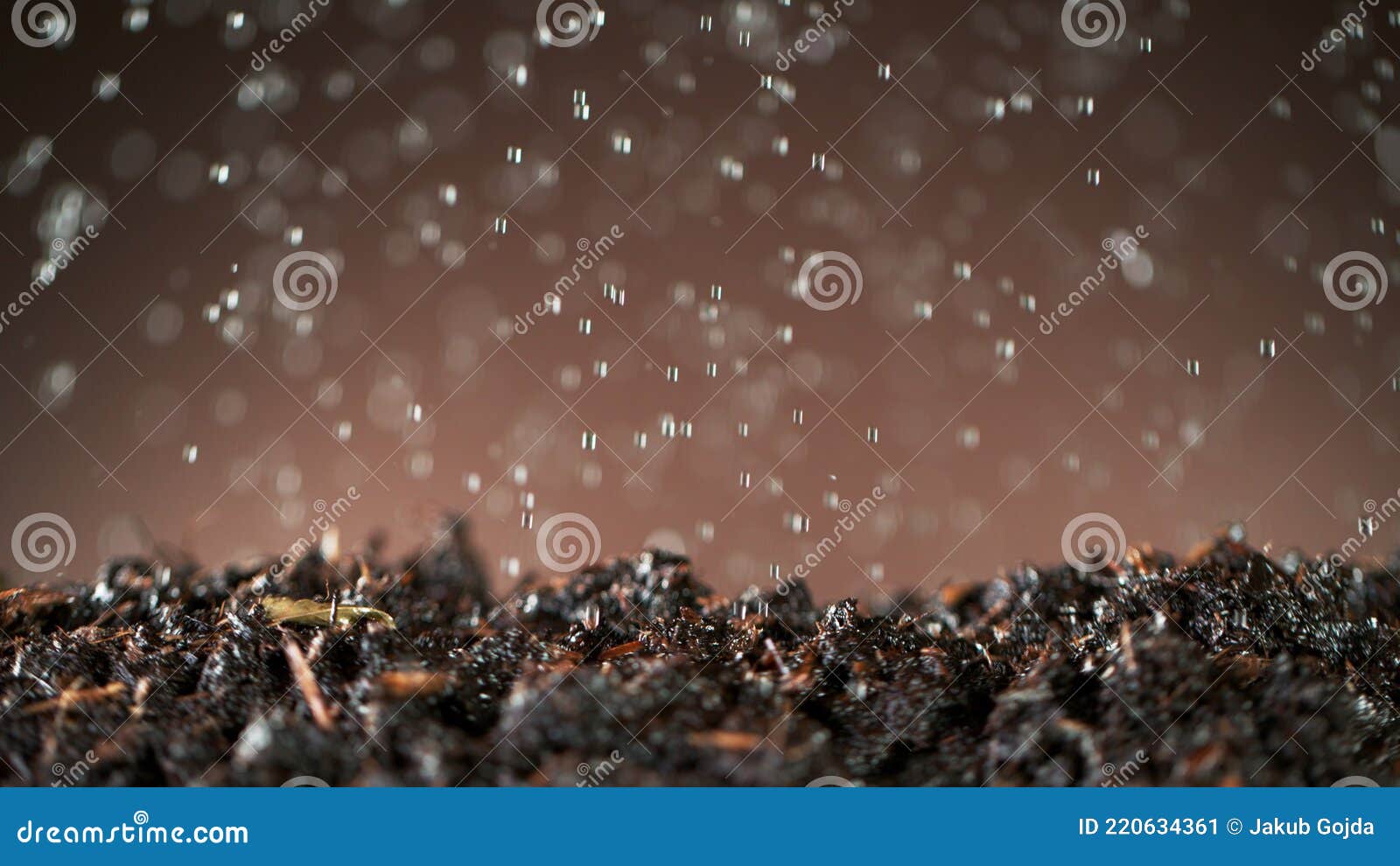 Watering Earth Substrate, Free Space for Text Stock Image - Image of ...