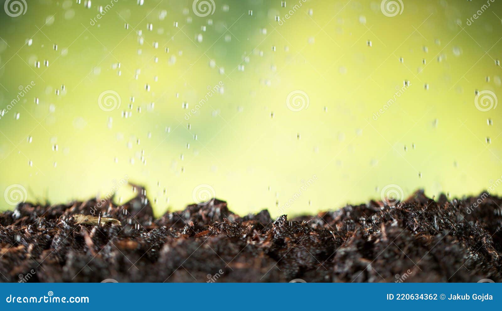 Watering Earth Substrate, Free Space for Text Stock Photo - Image of ...