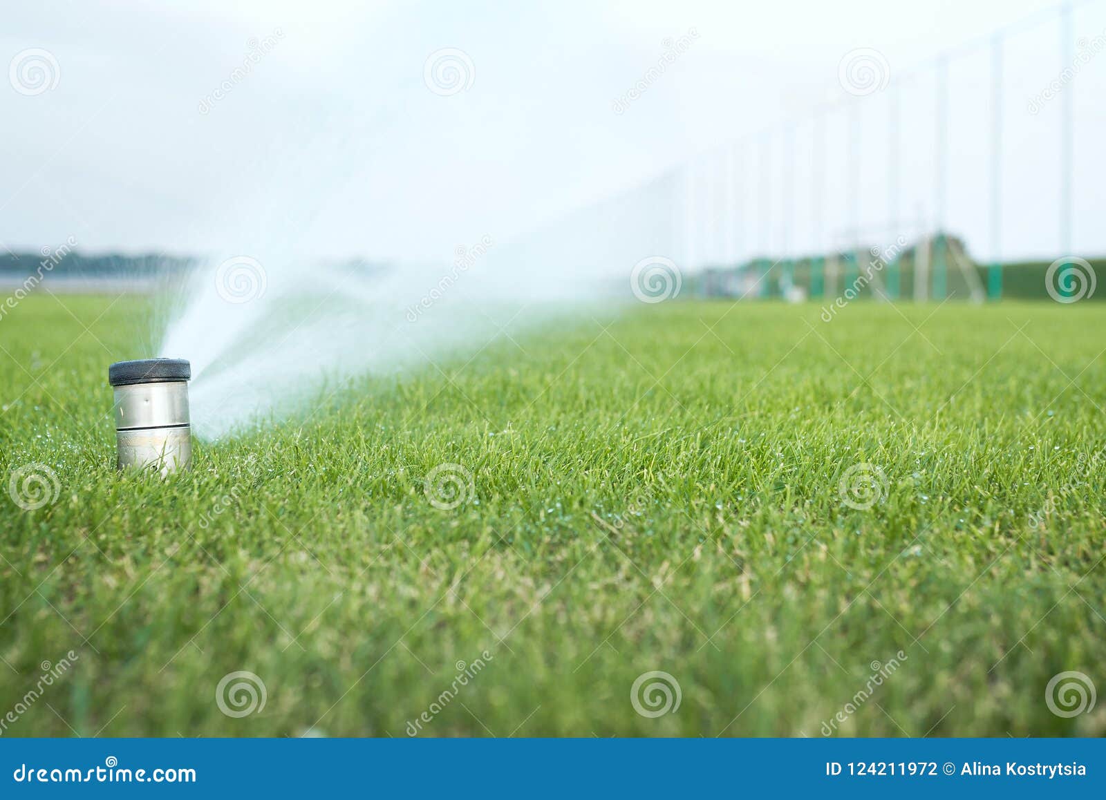 Automatic Watering of the Football Field Stock Photo - Image of auto ...