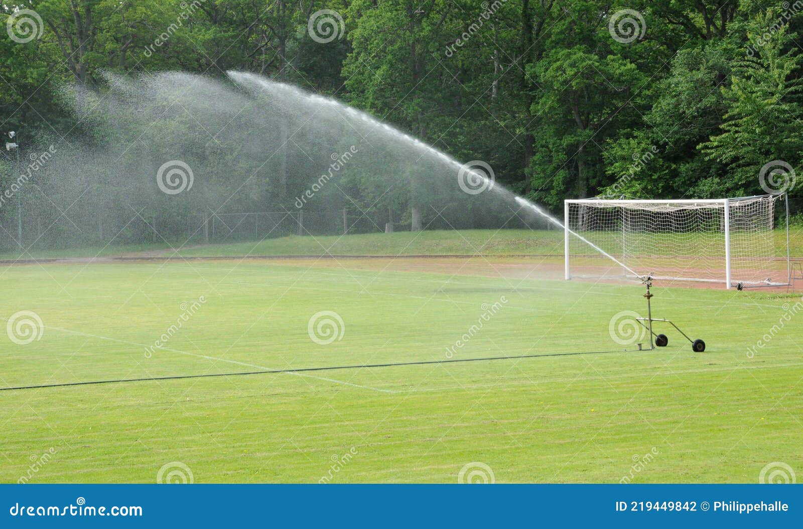 Watering in a Football Pitch Stock Photo - Image of frost, leaves ...