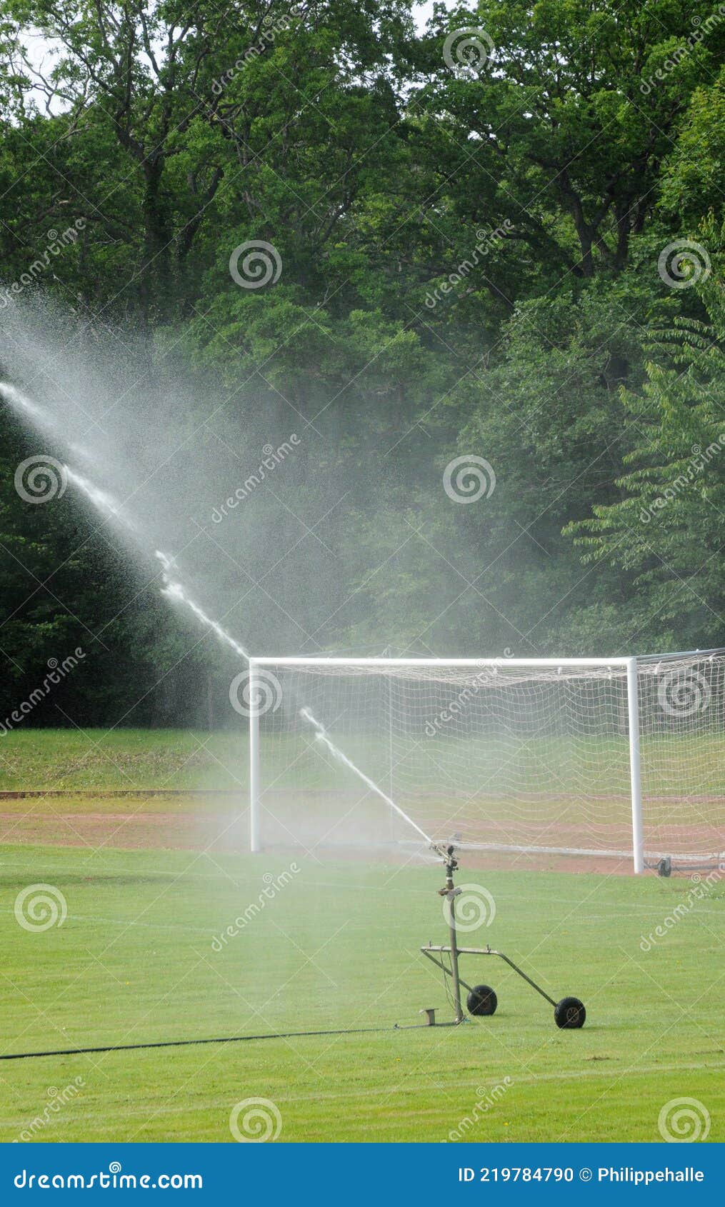 Watering in a Football Pitch Stock Photo - Image of field, heat: 219784790