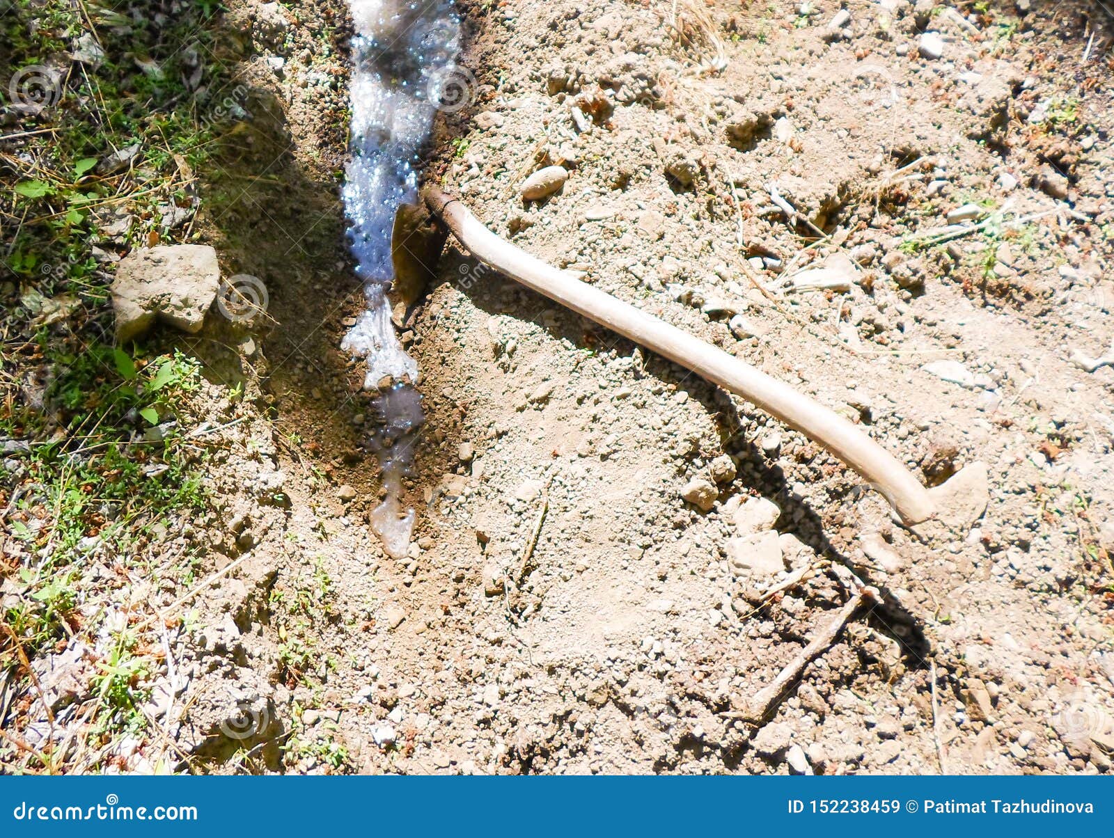 Watering Gardens, Working with a Hoe in the Garden. Hoe in the Garden ...