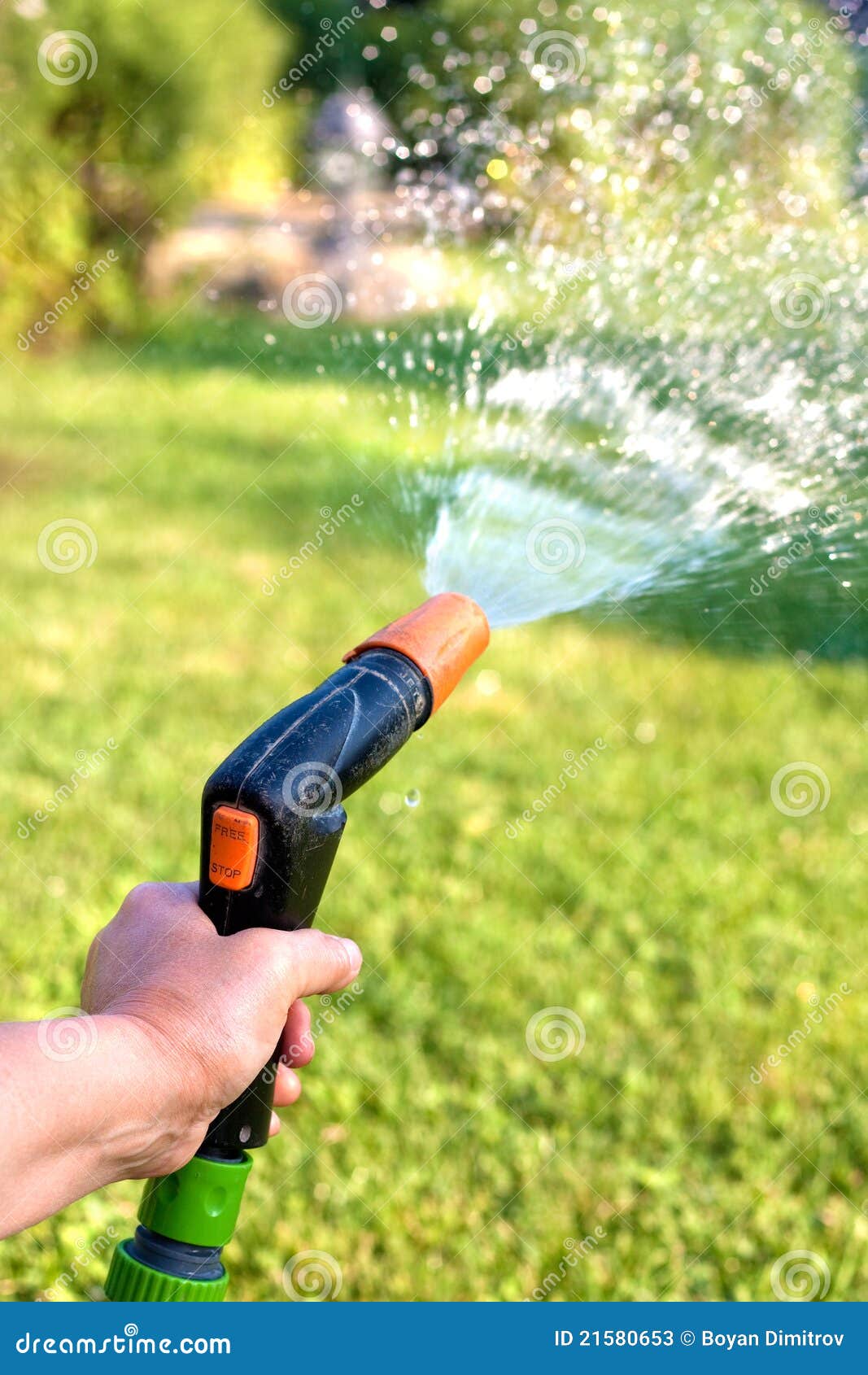 Watering the grass stock image. Image of nozzle, fresh - 21580653