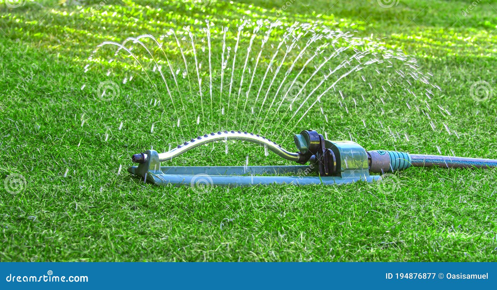 Watering Green Lawn during the Spring with Oscillating Sprinkler Water ...
