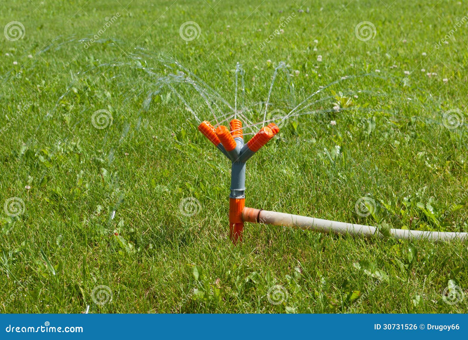 Watering the Green Lawns with Spray Pipe Stock Photo - Image of ...