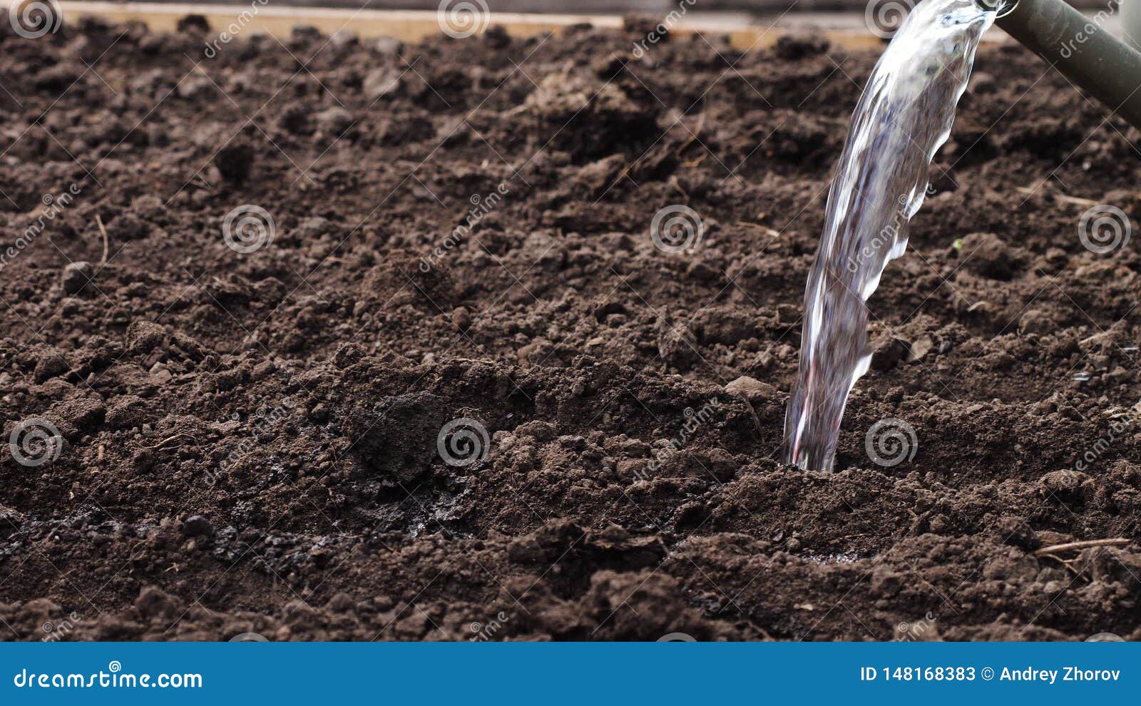 Watering ground with can stock video. Video of nature - 148168383