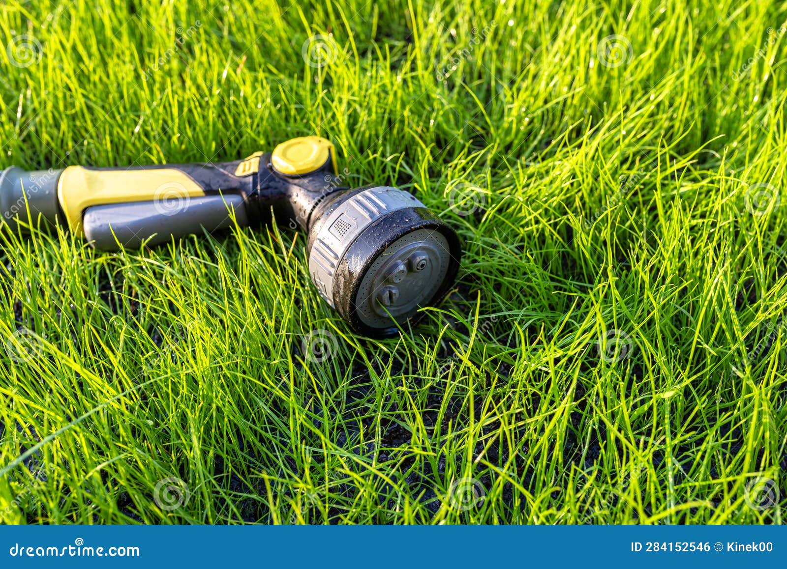A Watering Gun Lying on Young Grass with a Hose Attached. Stock Photo ...