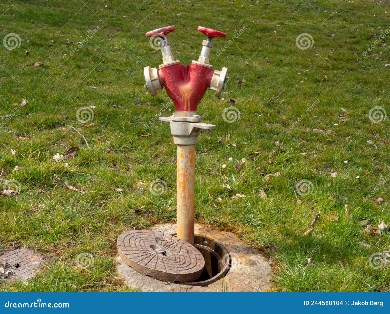 Watering Hydrants in the Park. Watering System. Stock Photo - Image of ...
