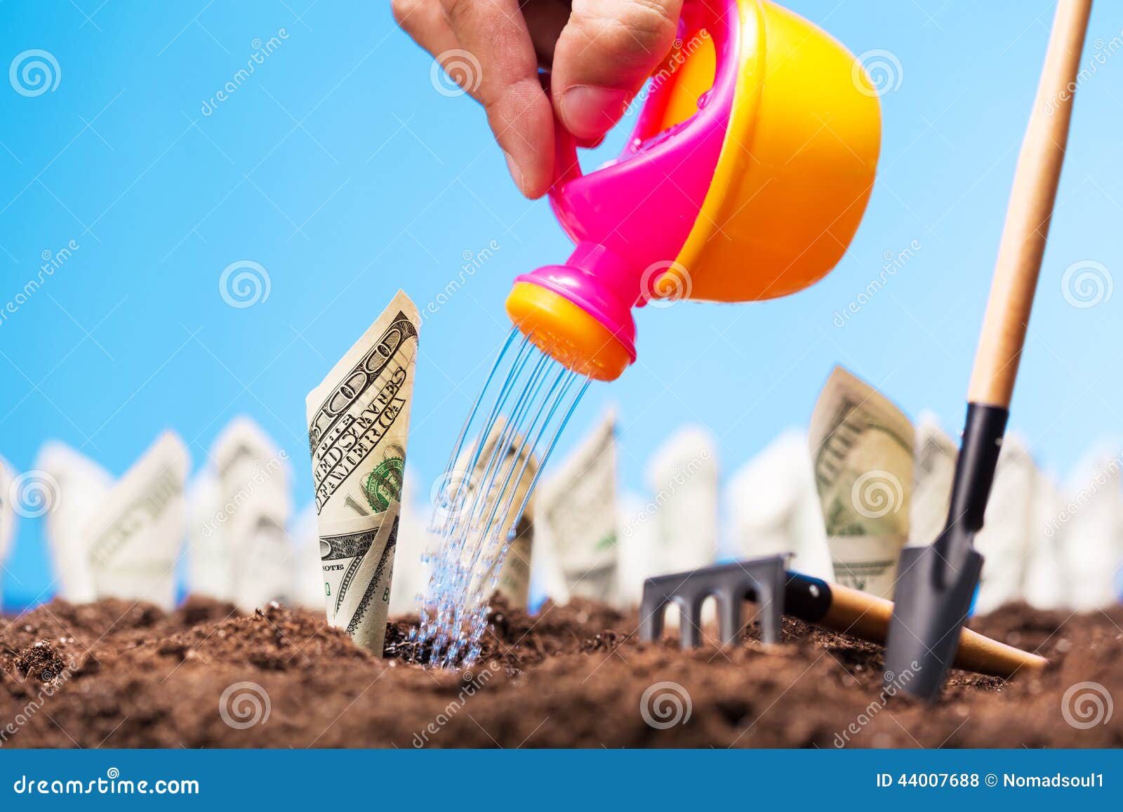 Watering the money sprigs stock photo. Image of organic - 44007688