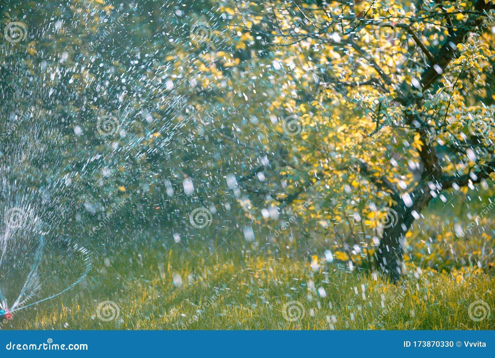 Watering the Summer Orchard. Stock Photo - Image of blue, environment ...