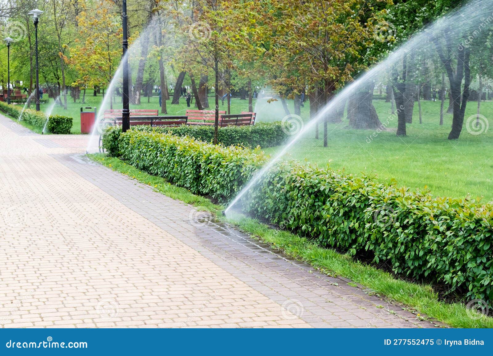 Watering the Park in Spring. Irrigation System Stock Image - Image of ...
