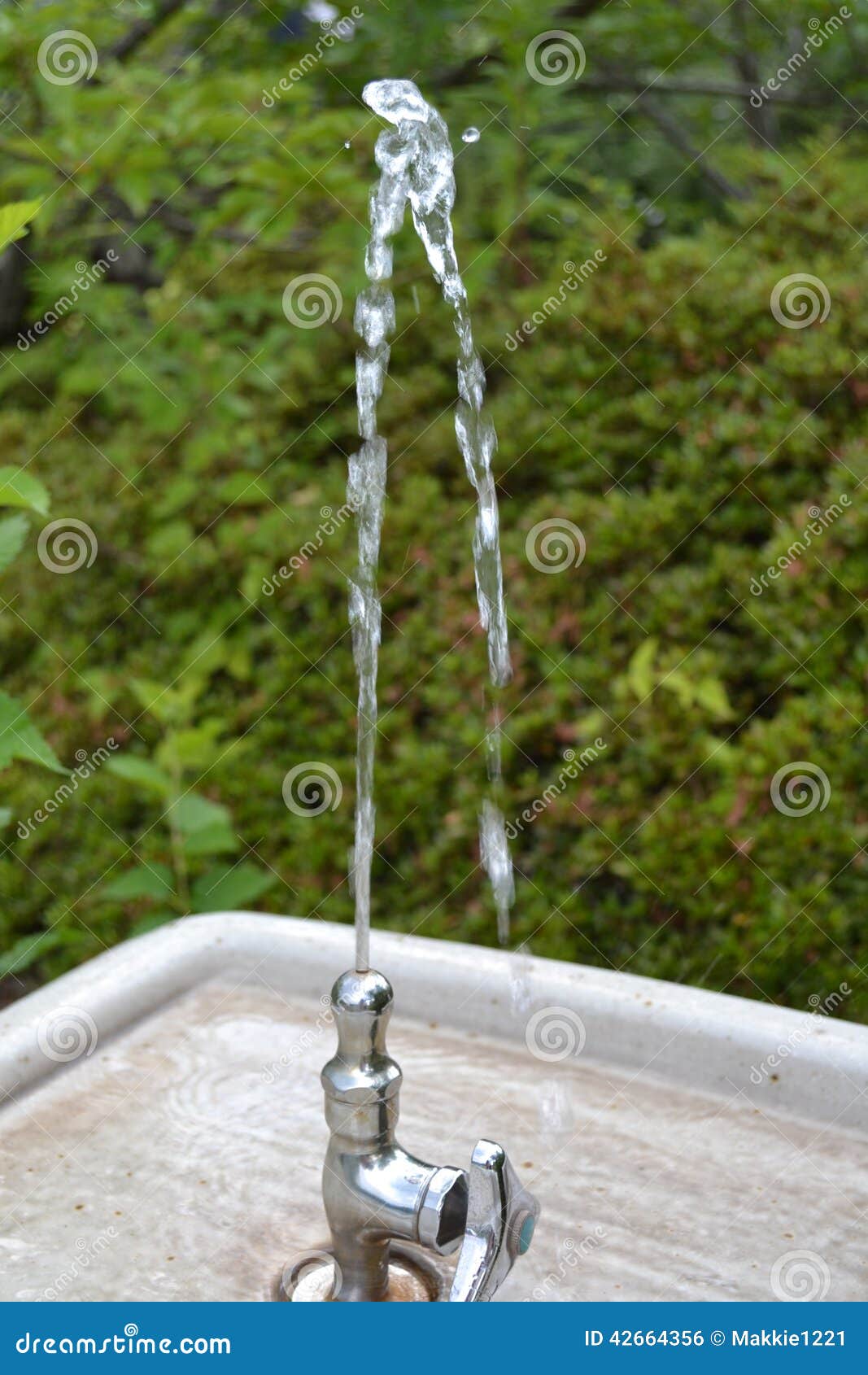 A watering place stock photo. Image of peace, park, landscape - 42664356