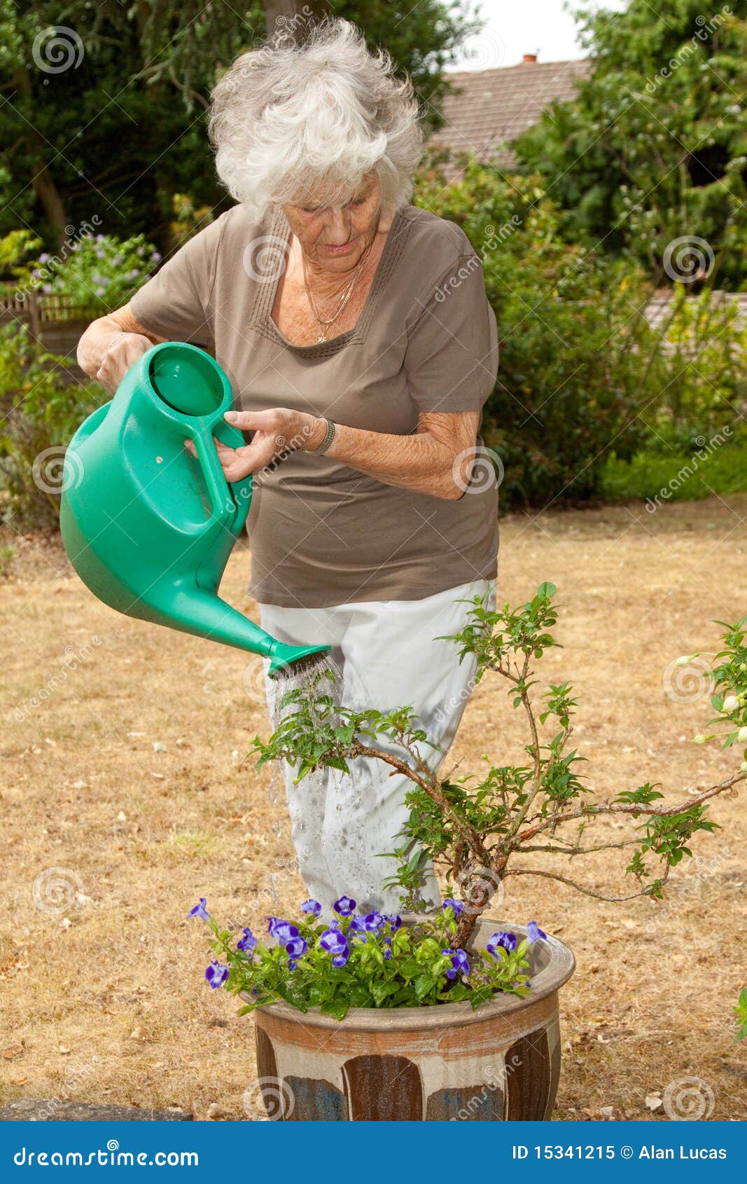 Watering the plants stock image. Image of grandmother - 15341215