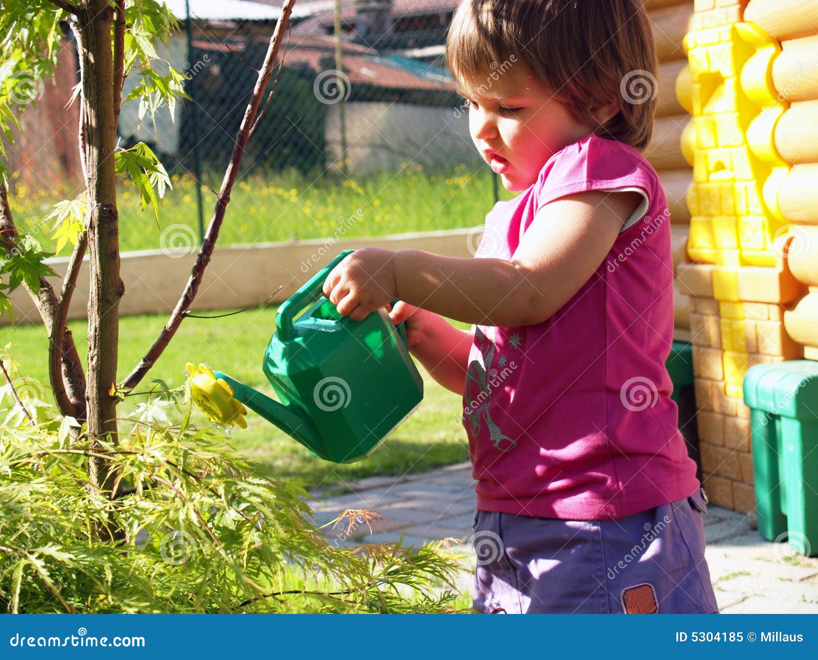 Watering the plants stock image. Image of pink, home, sunny - 5304185