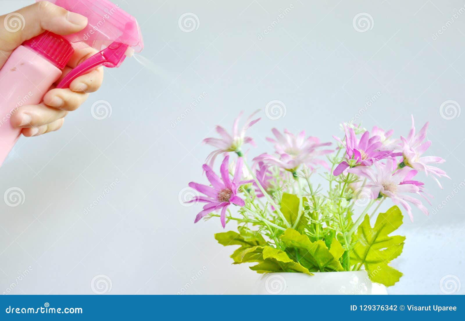 Watering a plastic flower stock photo. Image of watering - 129376342