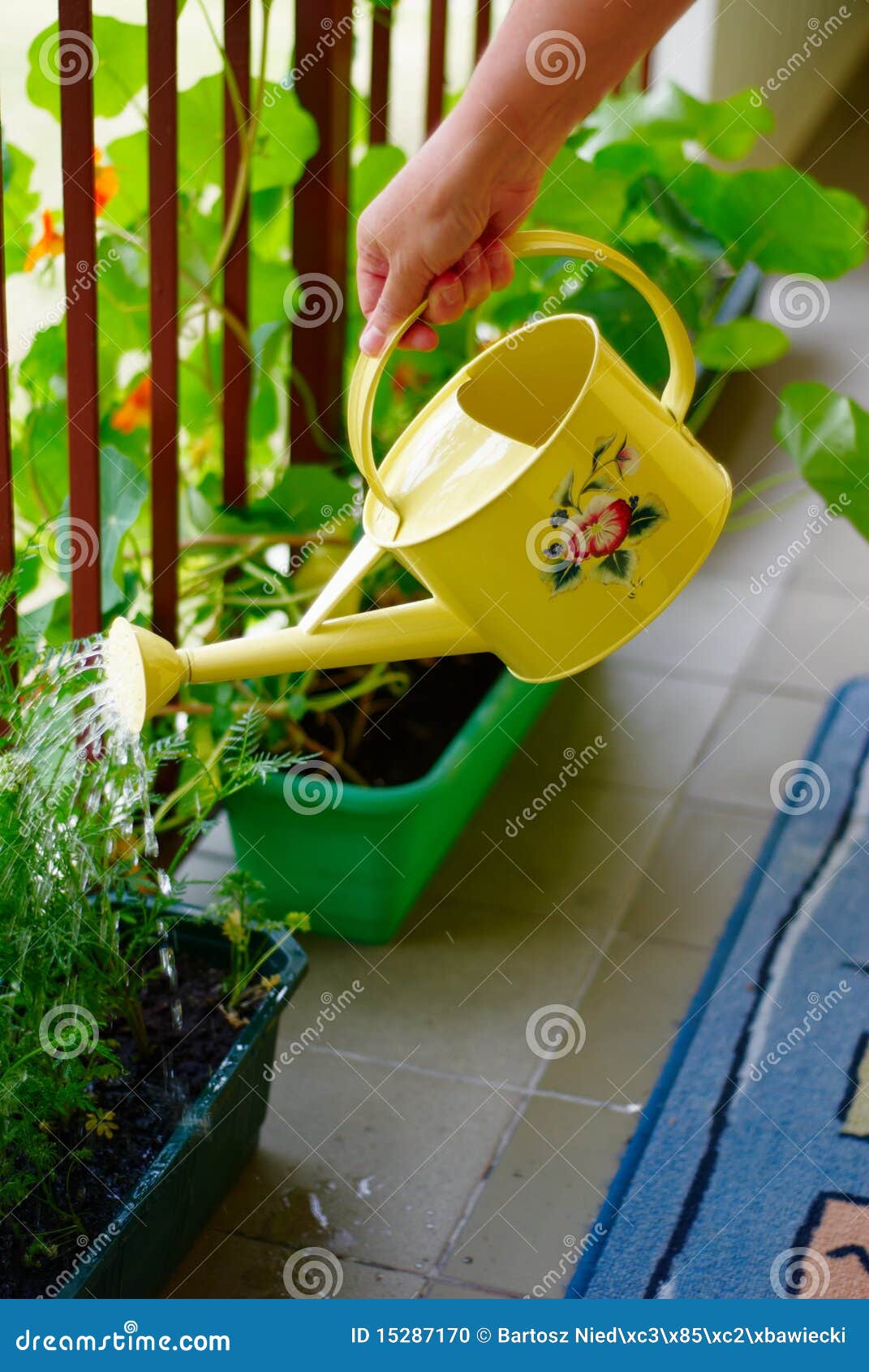 Watering pot stock photo. Image of environment, watering - 15287170