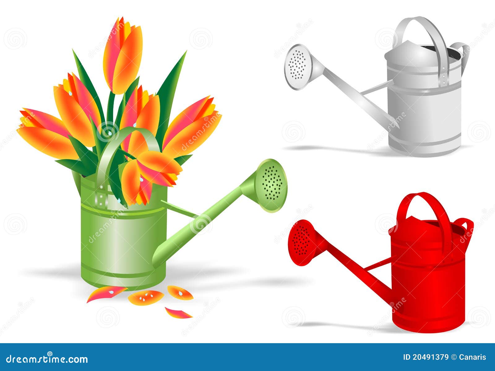 Watering Pot and Tulips, Cdr Vector Stock Vector - Illustration of ...