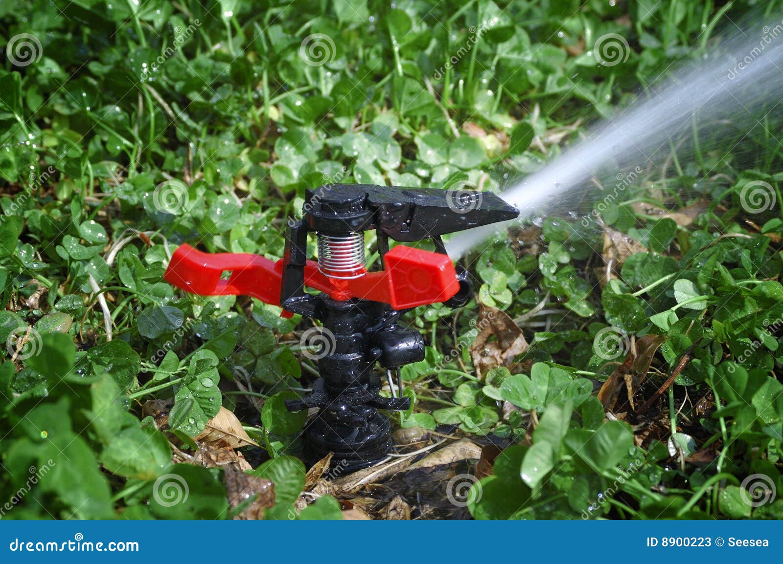 Watering in spring stock image. Image of equipment, green - 8900223