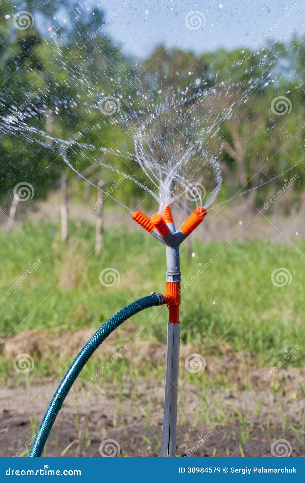 Watering spring garden stock image. Image of vibrant - 30984579