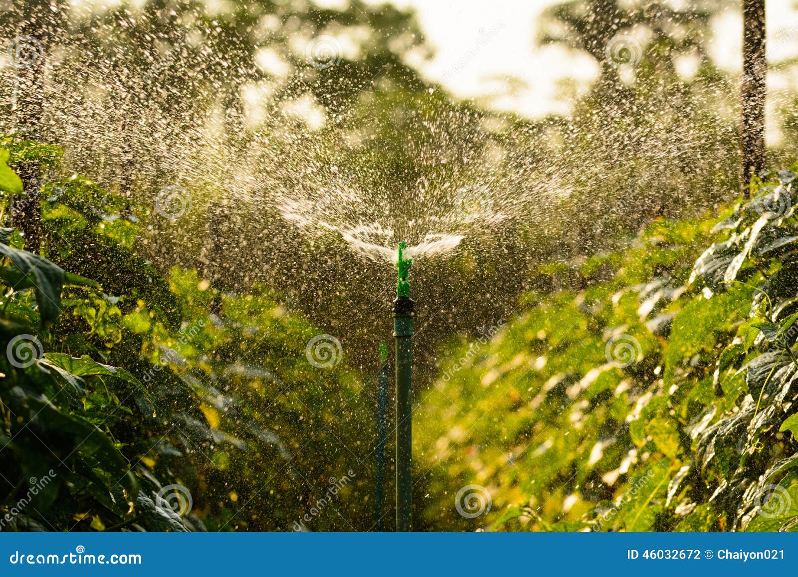Pipe Springer Working In Farm Royalty-Free Stock Image | CartoonDealer ...