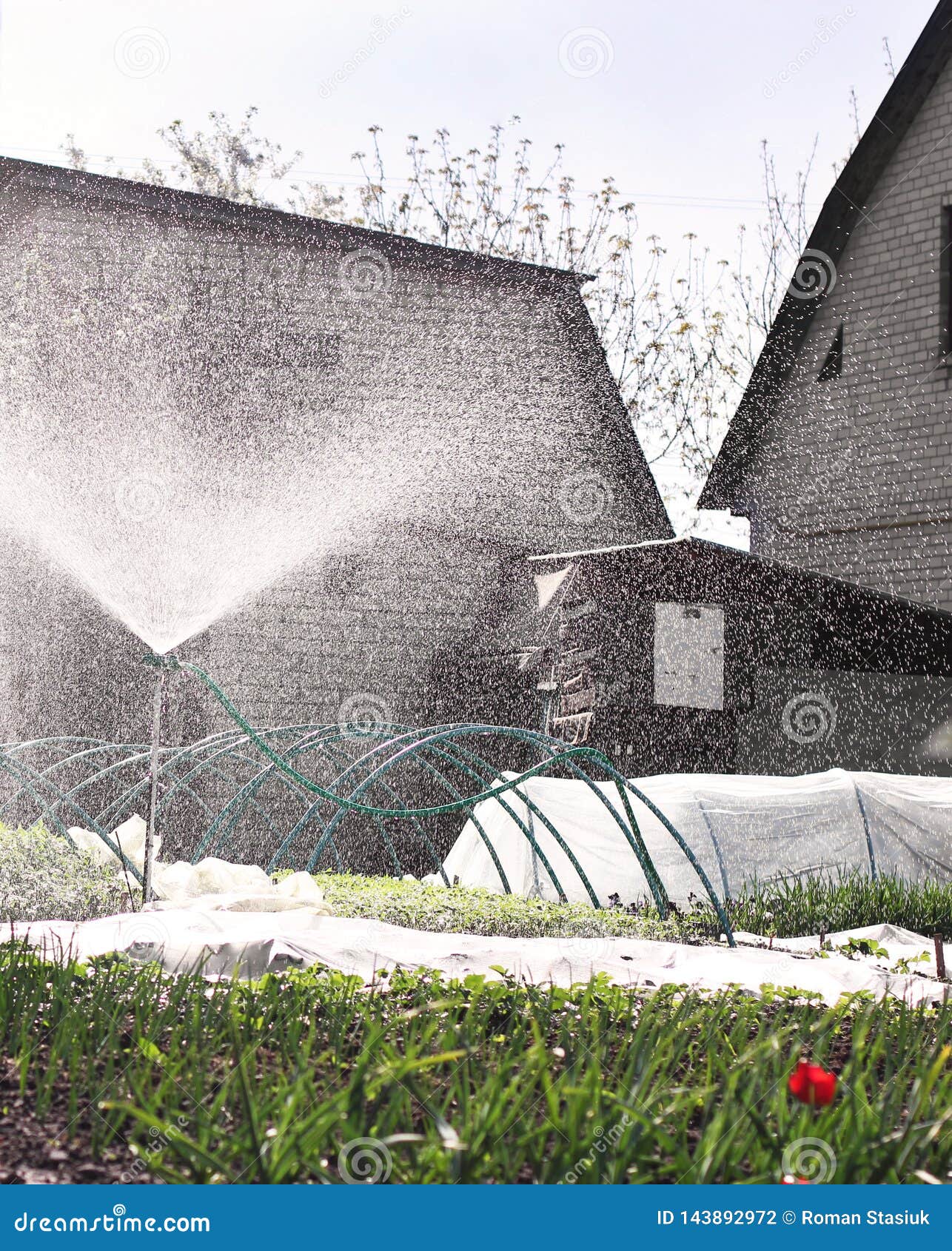 Watering System in the Garden Stock Photo - Image of home, irrigate ...