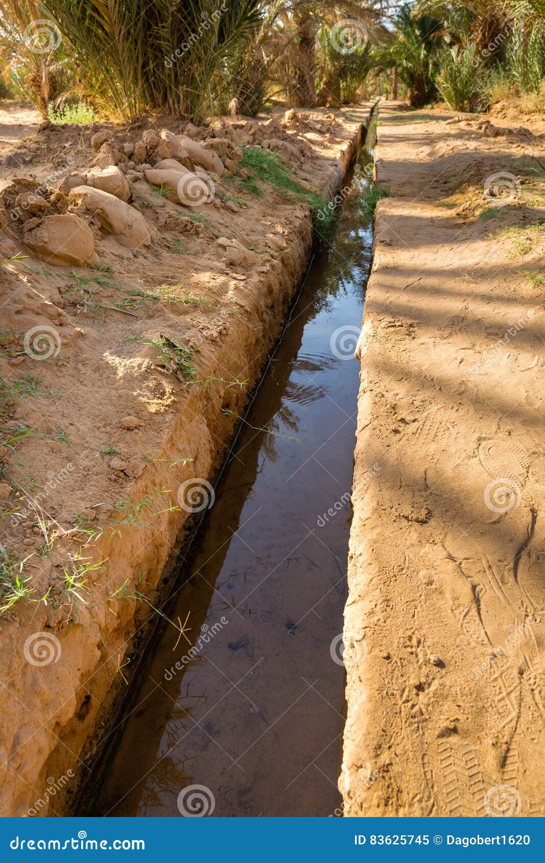 The Watering System in the Oasis Stock Image - Image of orange, field ...