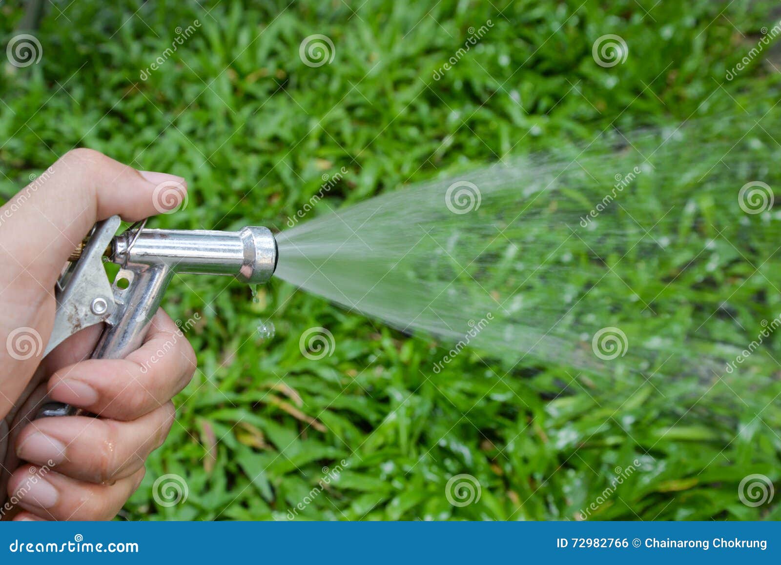 Watering to grass stock photo. Image of concept, leaf - 72982766