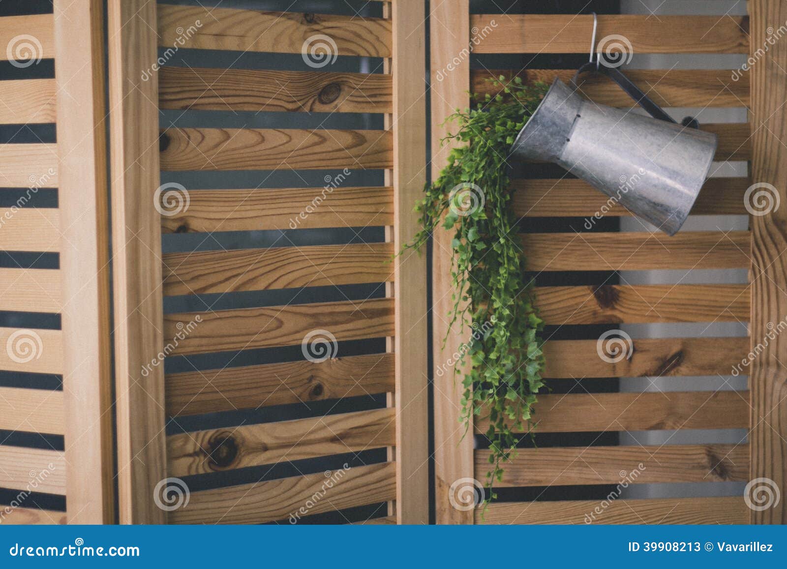 Watering stock image. Image of plant, indoor, tree, battens - 39908213