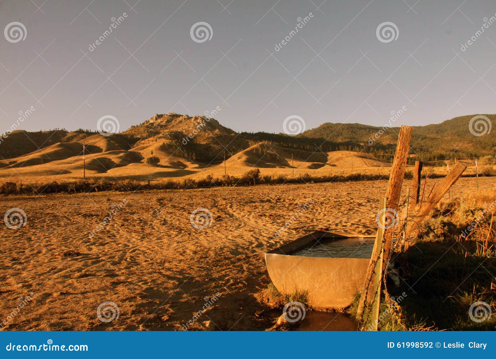 Watering trough stock photo. Image of organic, track - 61998592